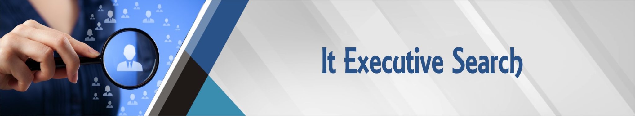 IT Executive Search – Bigzia Management Pvt. Ltd.